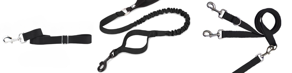 Leashes 101 | PetHub